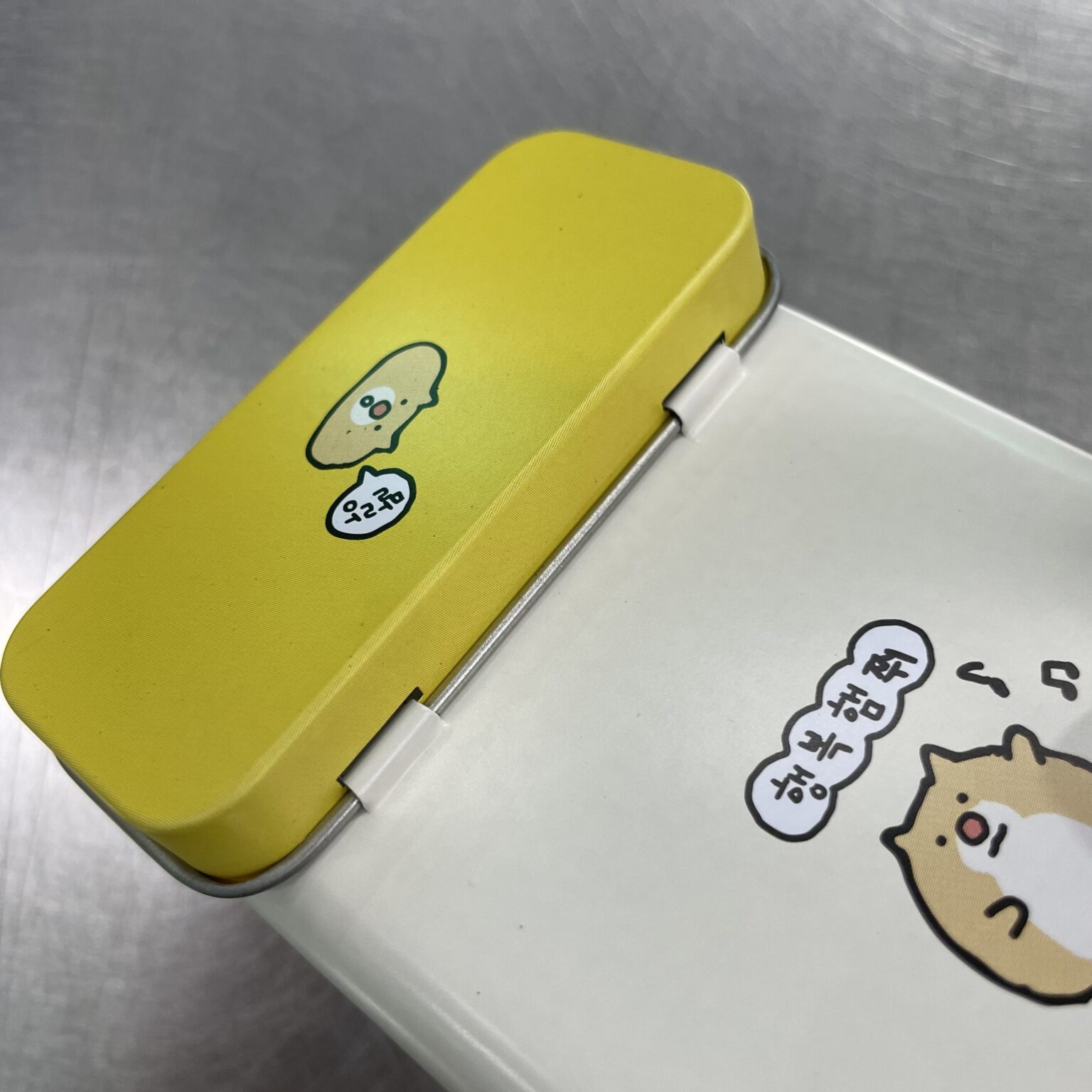 Hinged Lid Tin Containers Manufacturer - TINSPKG